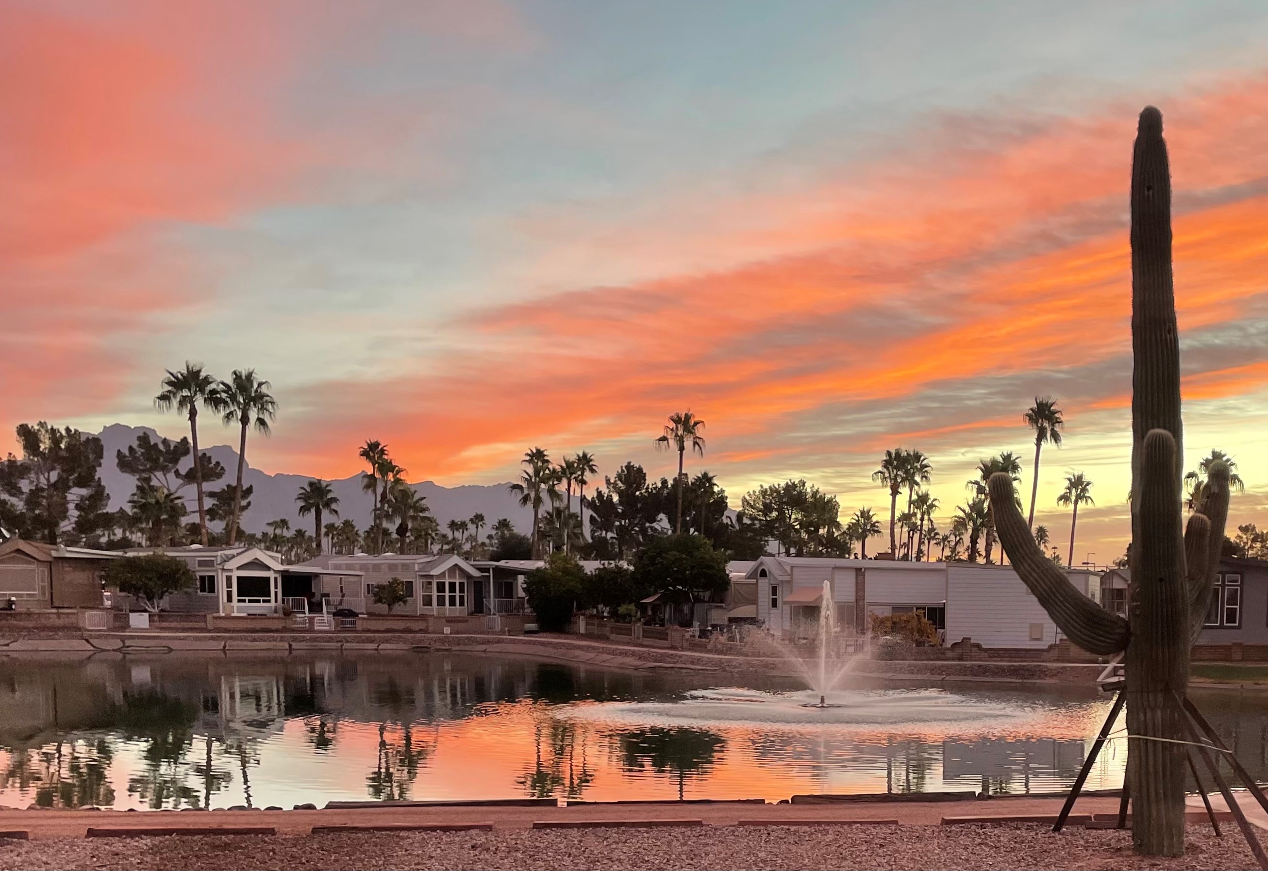 Roadhaven Resort, Arizona | 55+ Community | Wi-Fi Hotspots