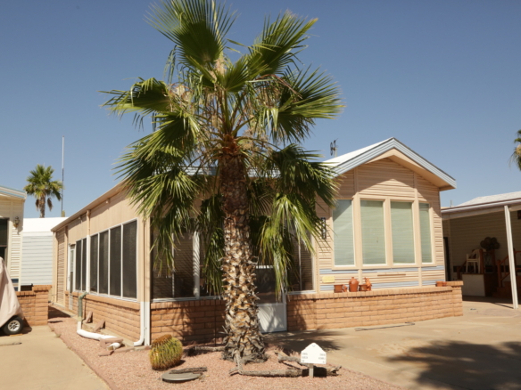 Roadhaven Resort | 55+ Living in Apache Junction, Arizona