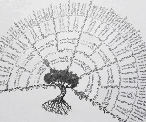 Genealogy Club – Roadhaven Resort