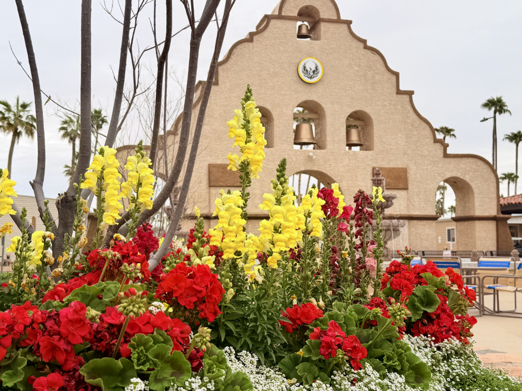 Living with Wildlife: Desert Rats – Roadhaven Resort